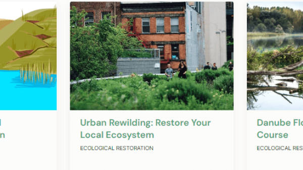 Rewilding Academy Courses | eePRO